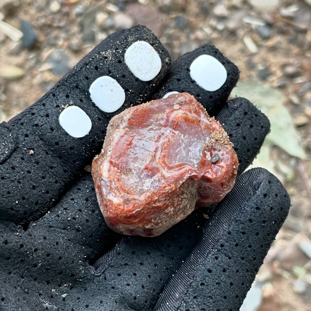 The Rockhounds